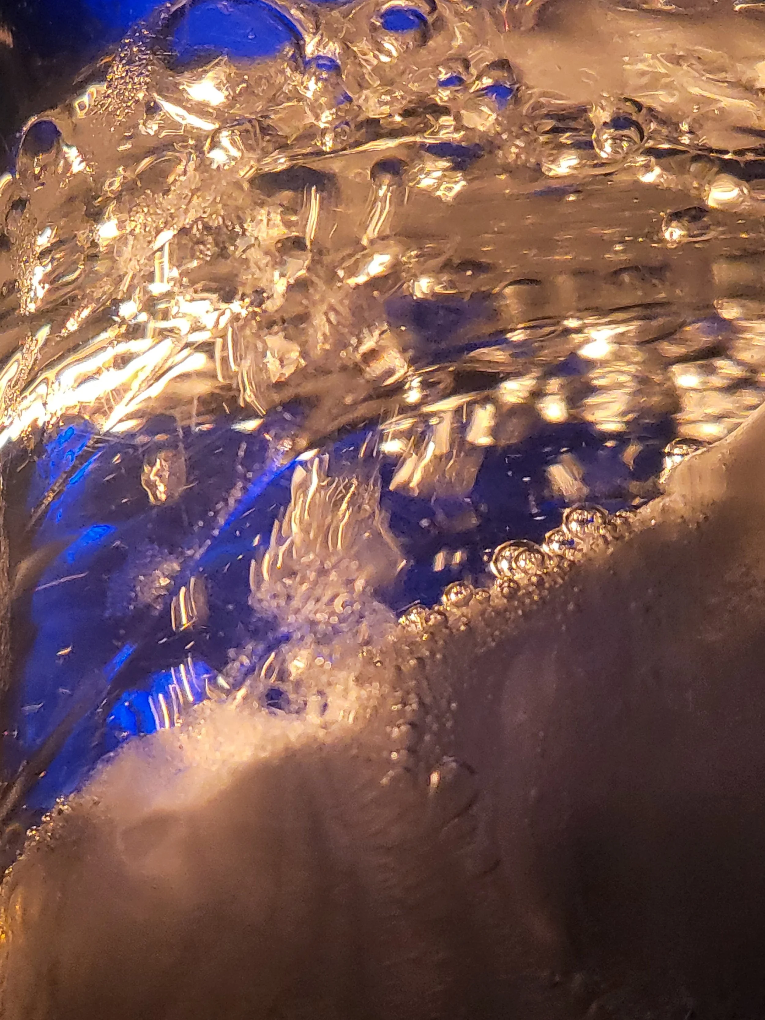 Art Exhibition: Curiosity, Spring 2023 — Images by Elderberry