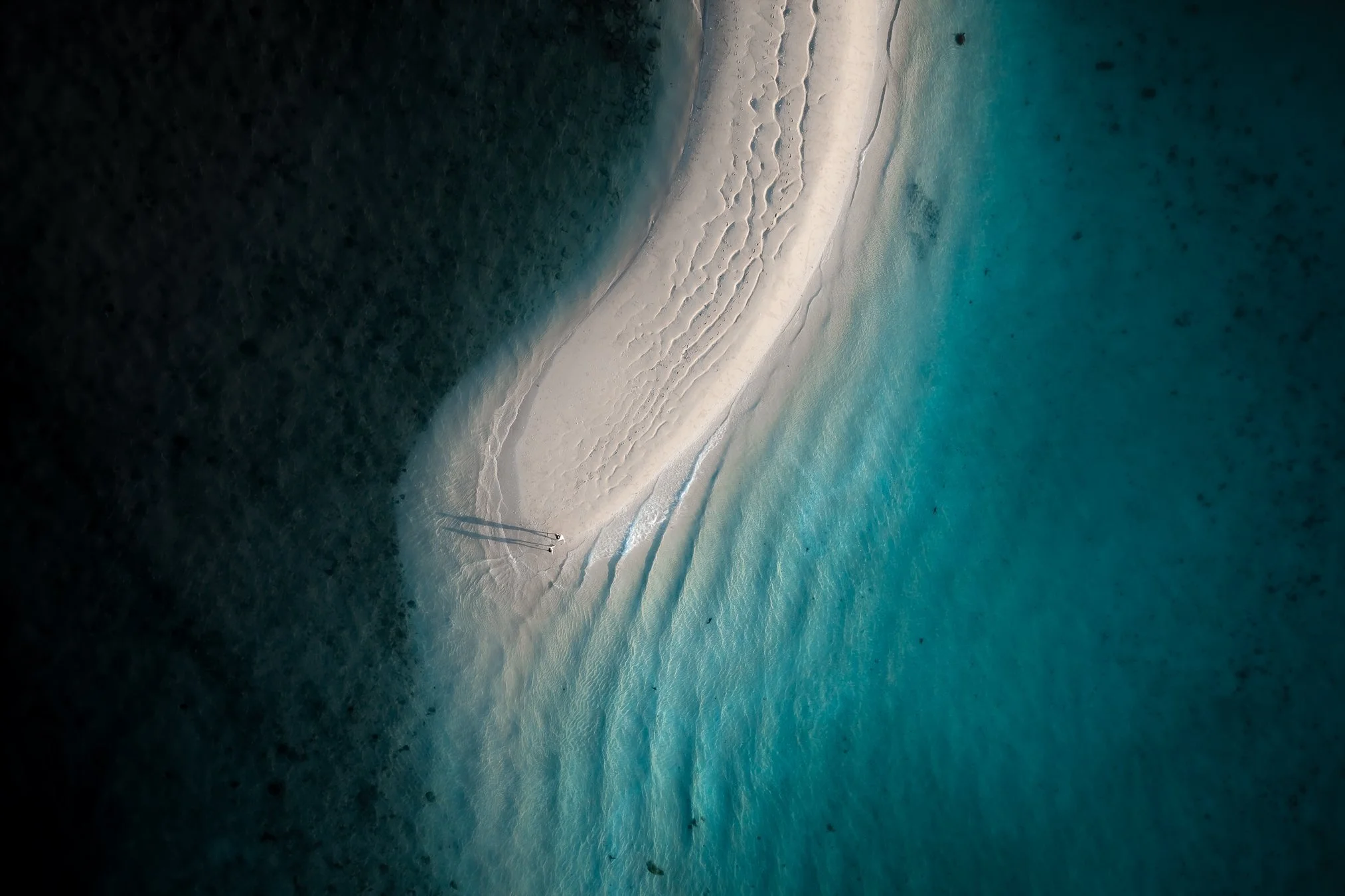 Photo Gallery — The Greener Two