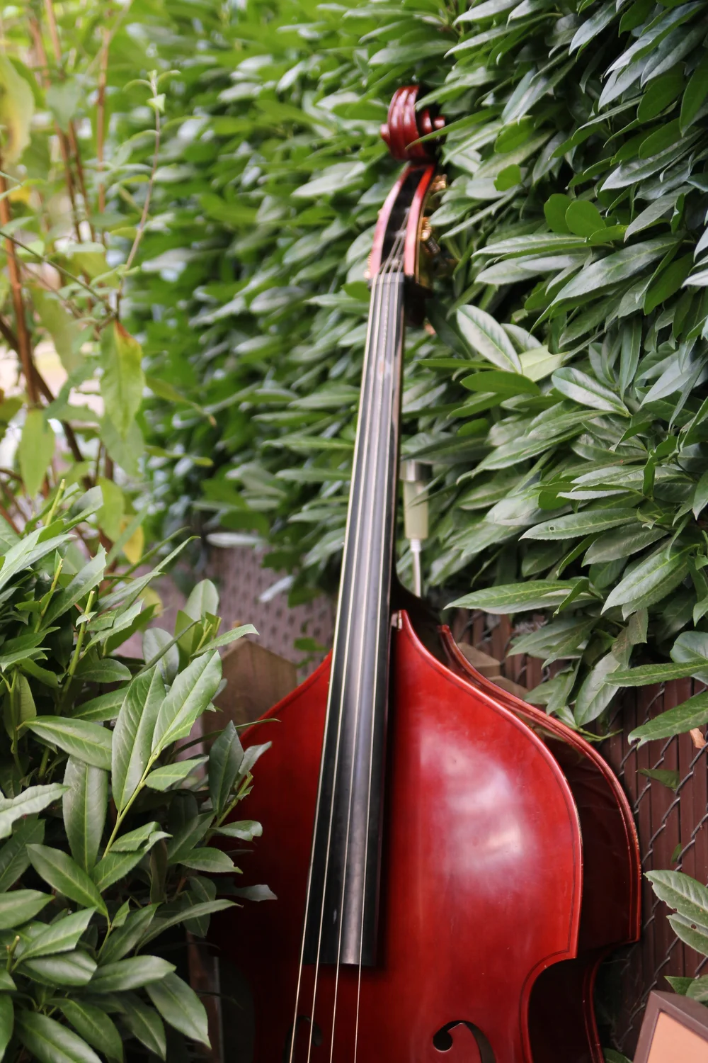 Events — Fiddler's Inn