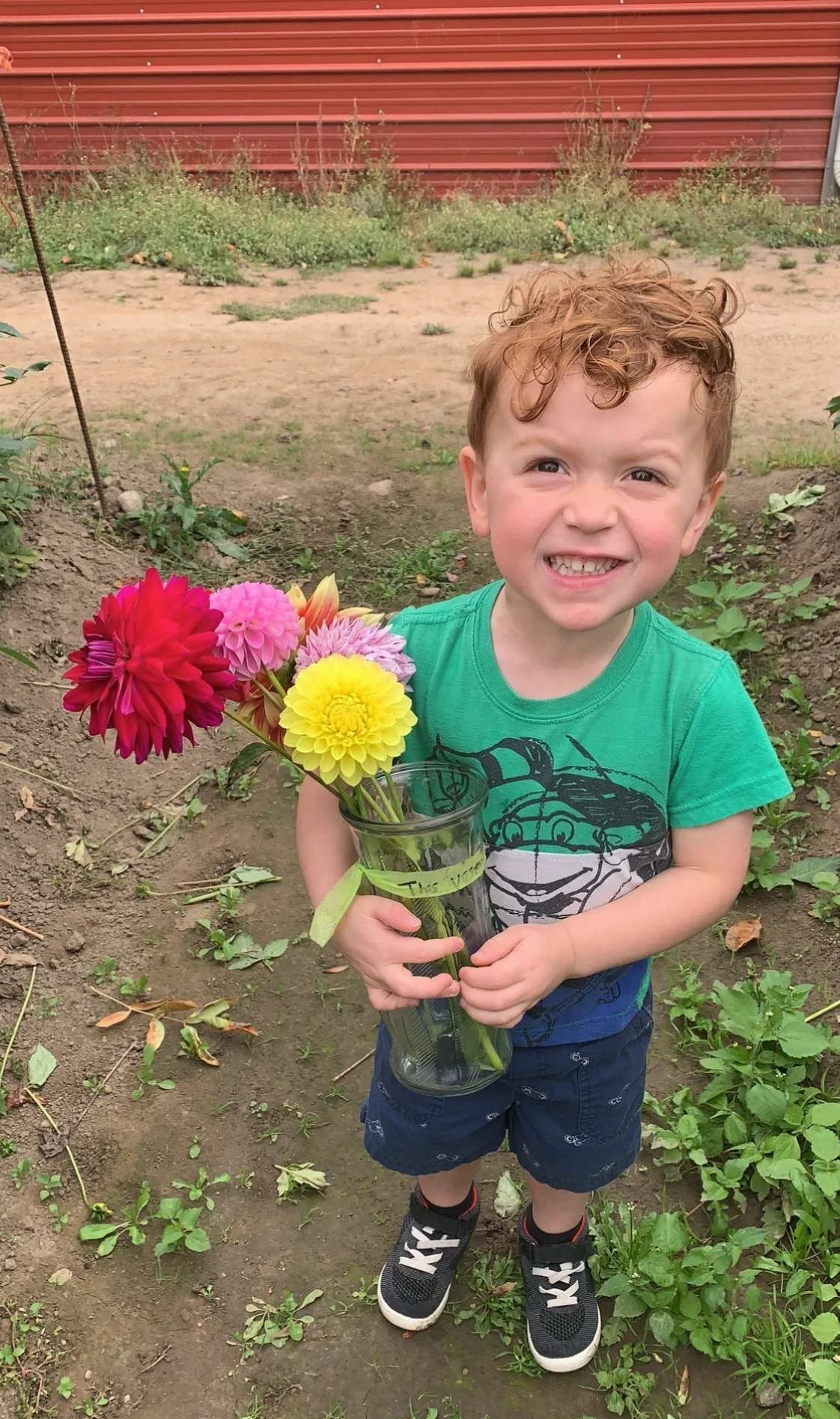 Jamie's Dahlias and Flower Farm