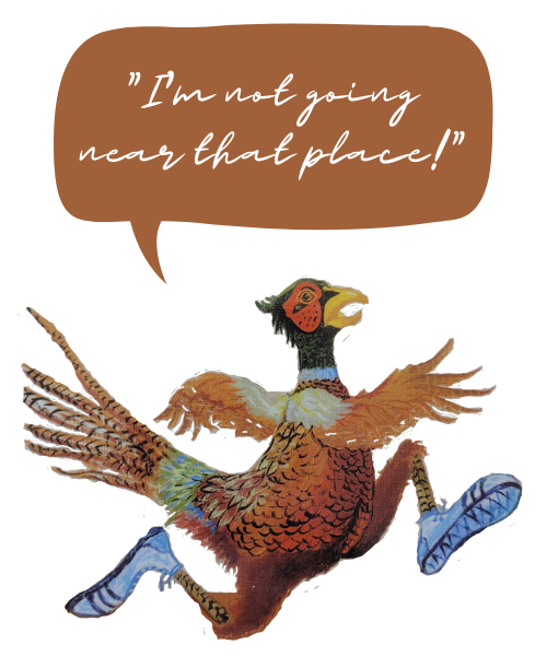 Pups — Hunters Rest Boykin Spaniels