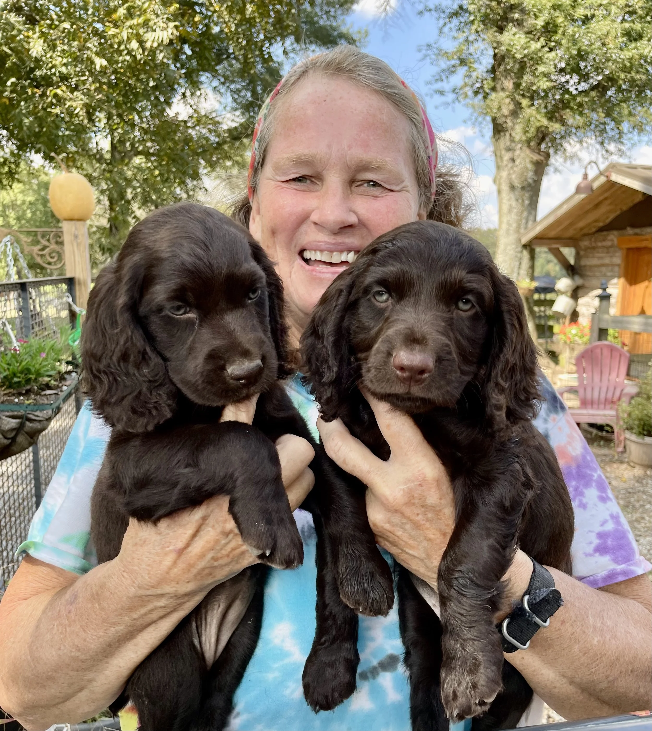 Dogs From Hunters Rest — Hunters Rest Boykin Spaniels