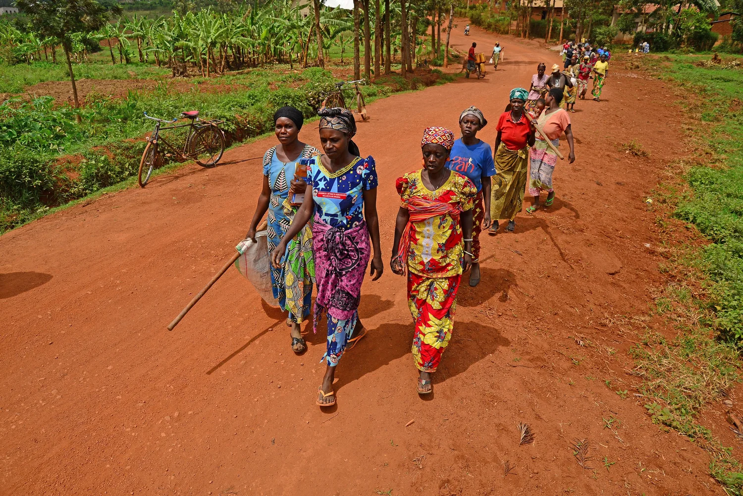 Africa Development Promise