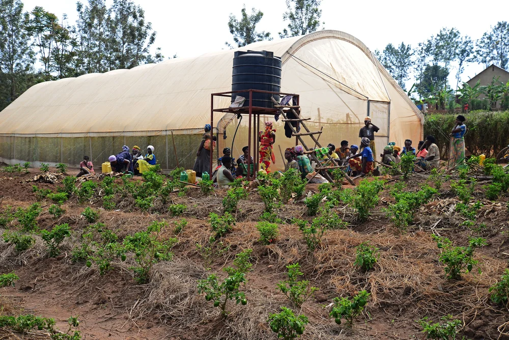 General 2 — Africa Development Promise