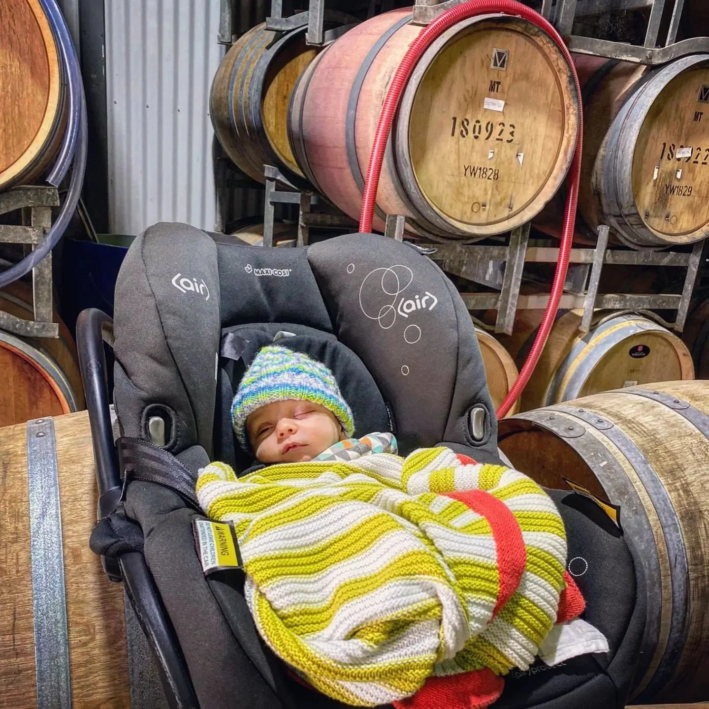 Shop — Yeah Wine