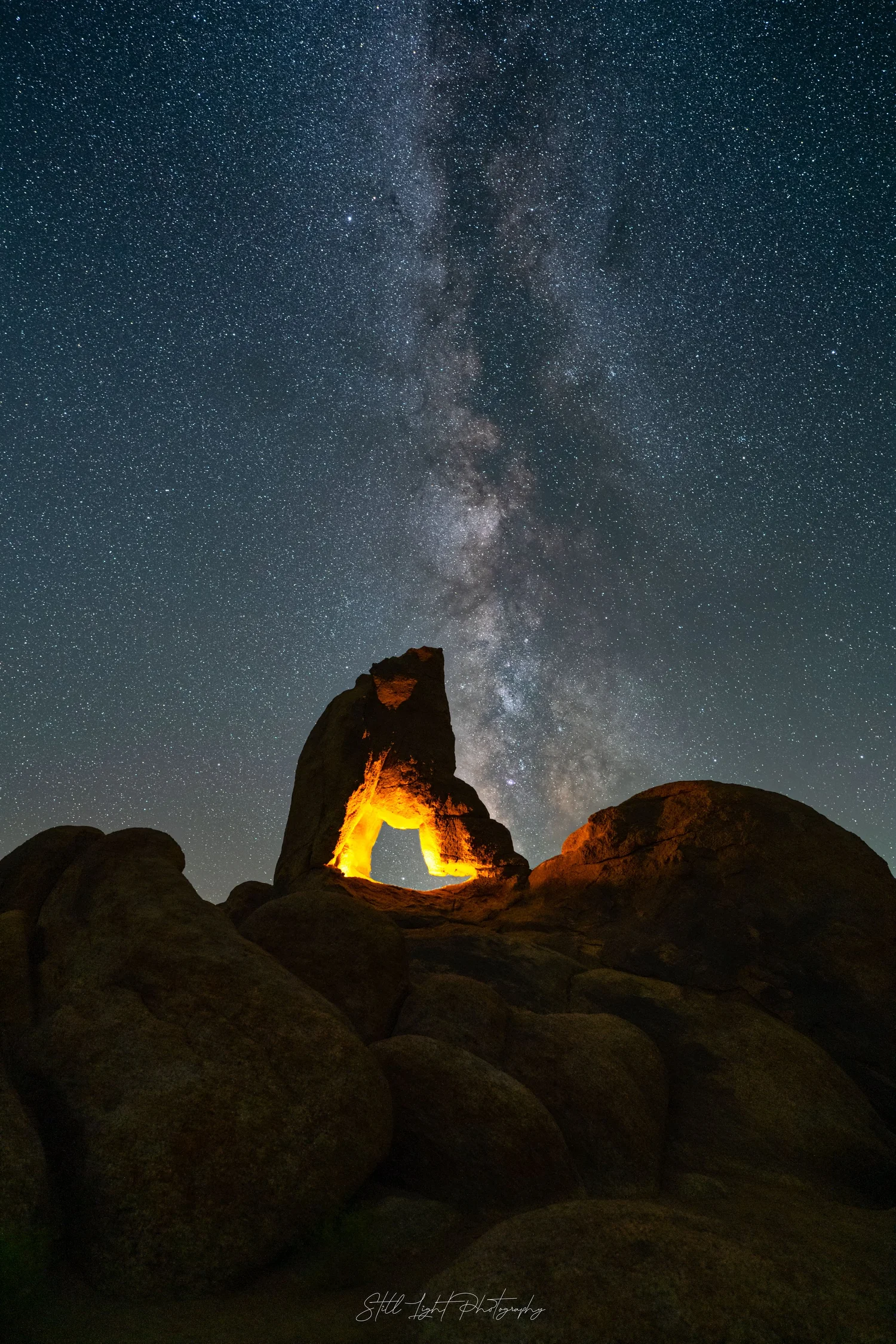 Gallery 1 — Still Light Photography