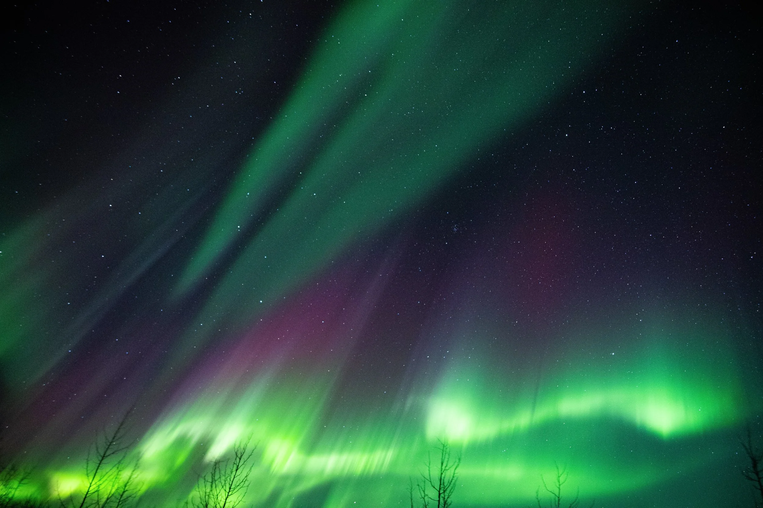 Auroa Borealis — Claire McCarty Images