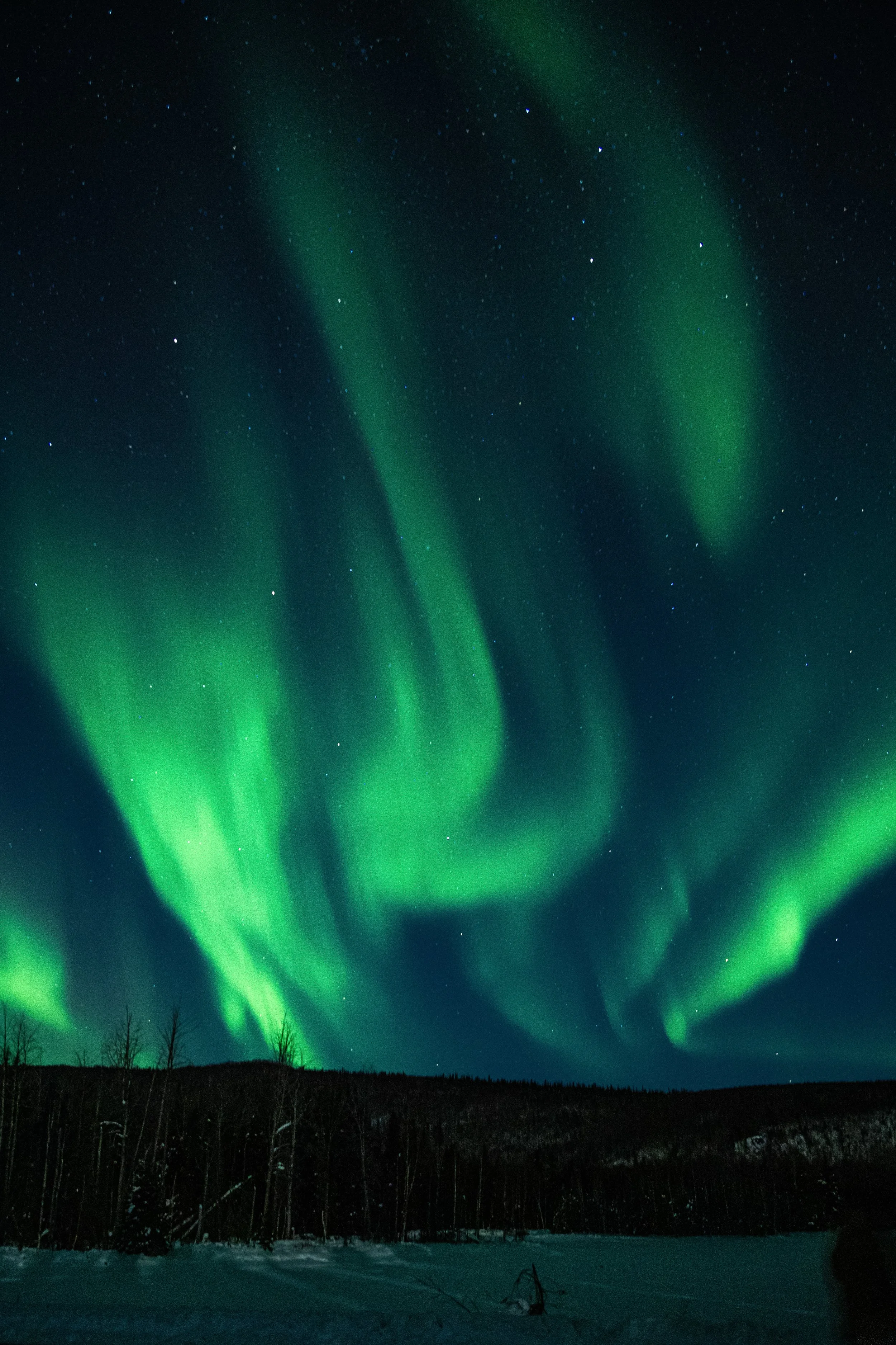 Auroa Borealis — Claire McCarty Images