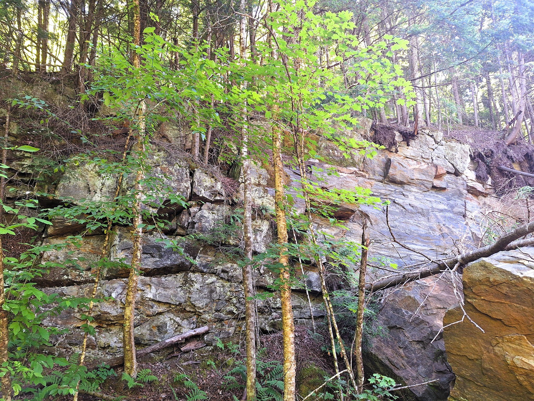 Boreas River Valley Run — Revolution Rail Co.