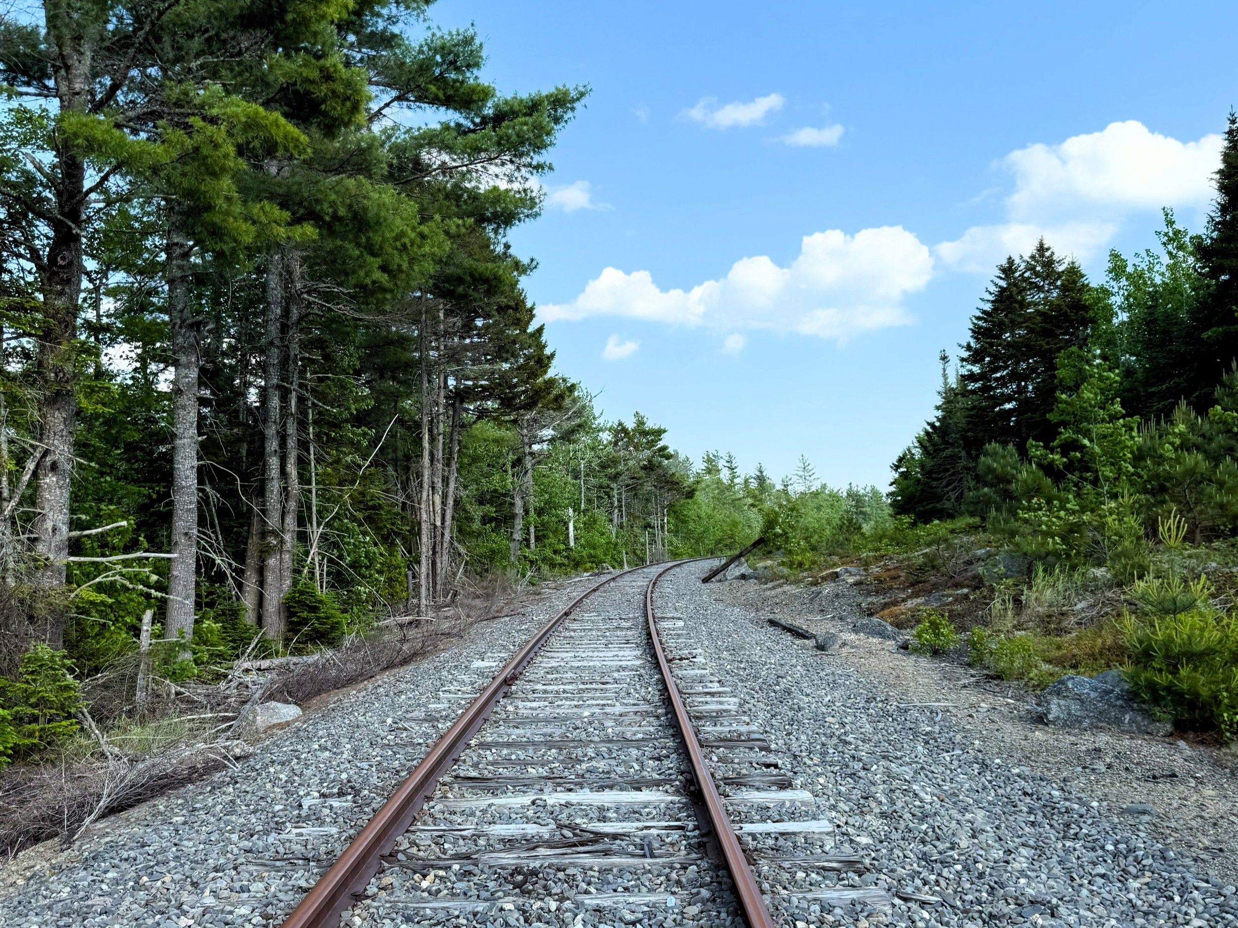 Maine Rail Biking — Revolution Rail Co.