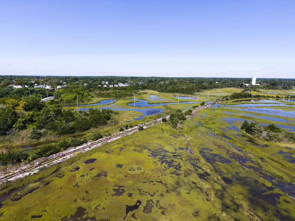 Full Moon Ride | Cape May — Revolution Rail Co.