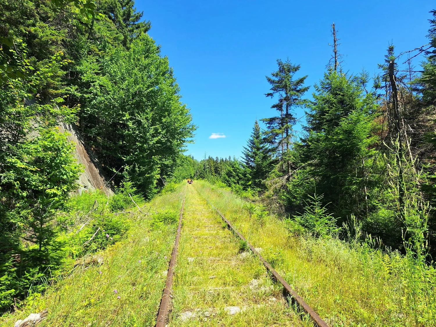 Boreas River Valley Run — Revolution Rail Co.