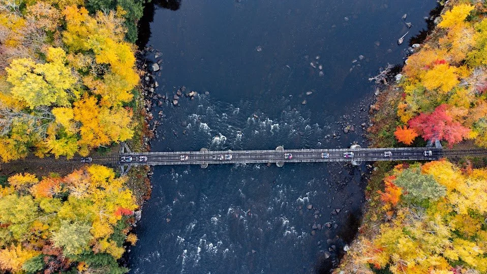 Adirondack Ecosystems: What You'll See While Rail Biking in North Creek ...