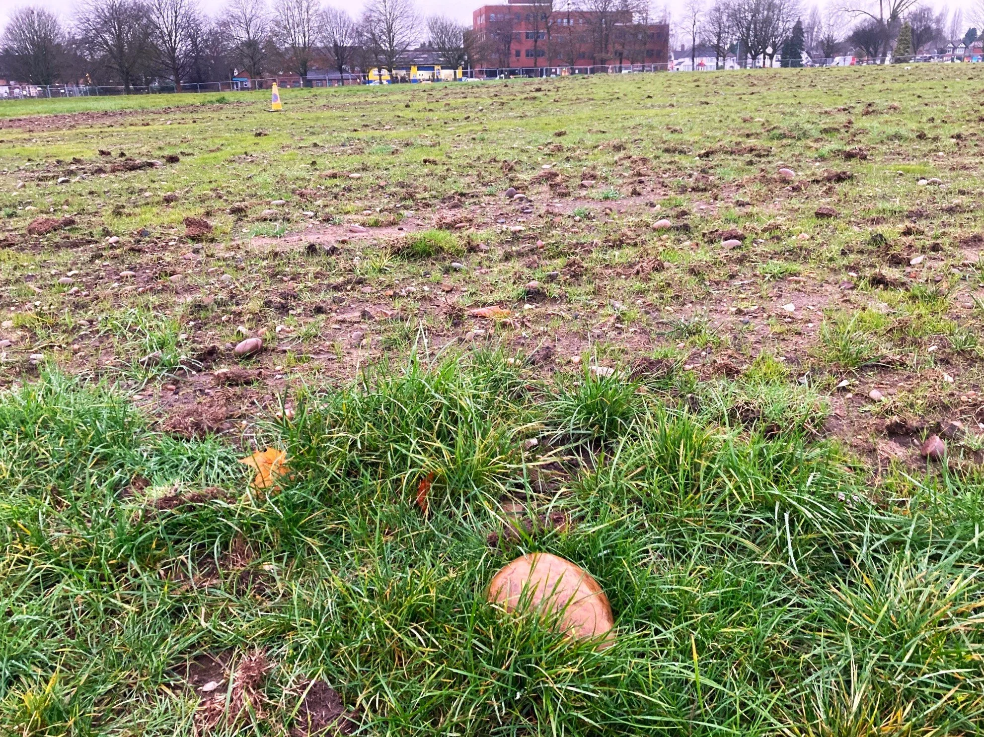 Friends of Perry Park