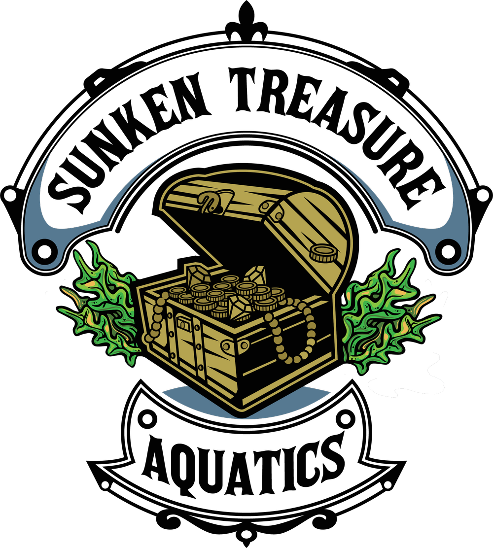 Sunken Treasure Aquatics - Lush Aquariums... For Everyone!
