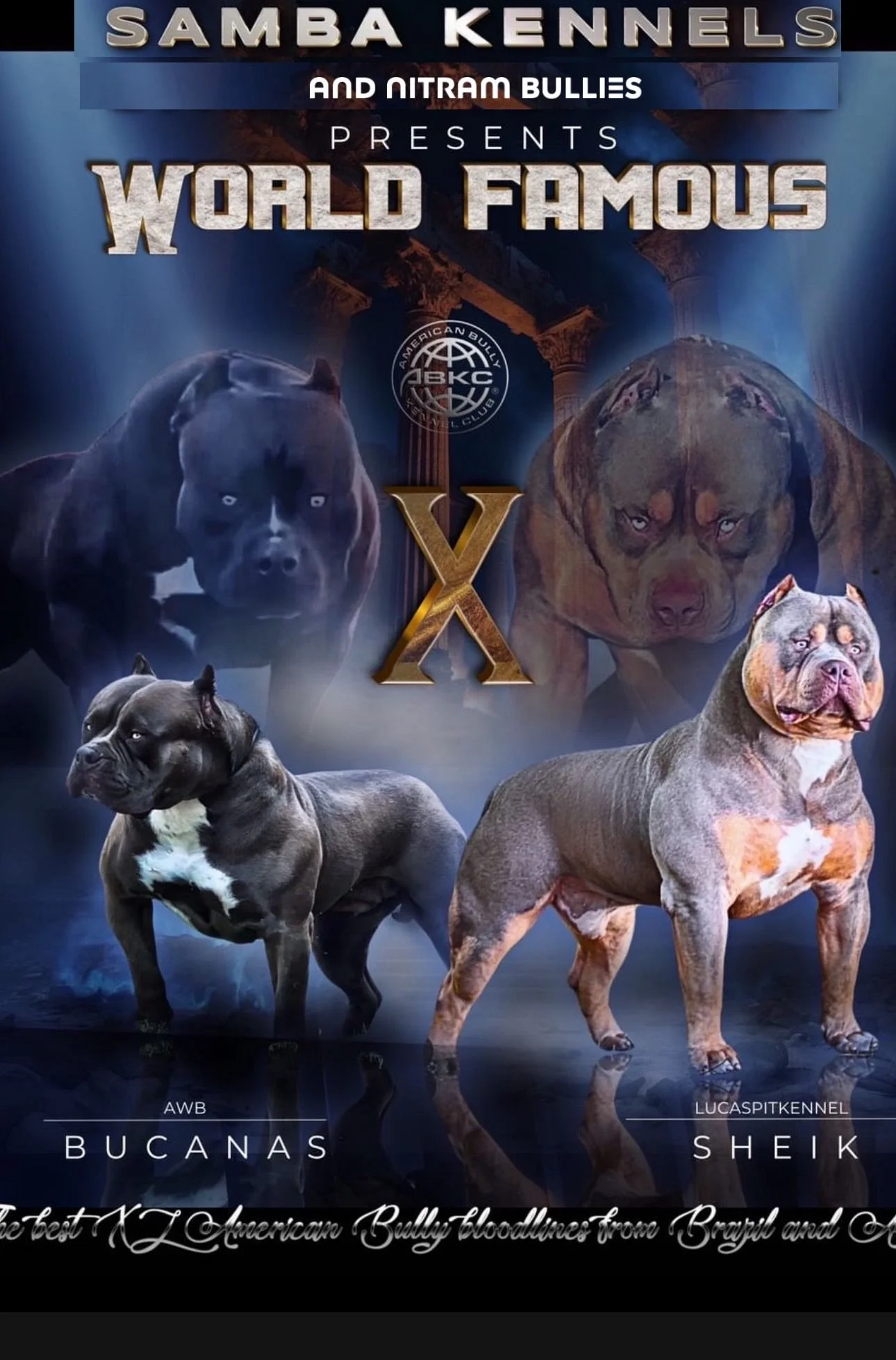 BREEDINGS — Sambakennels