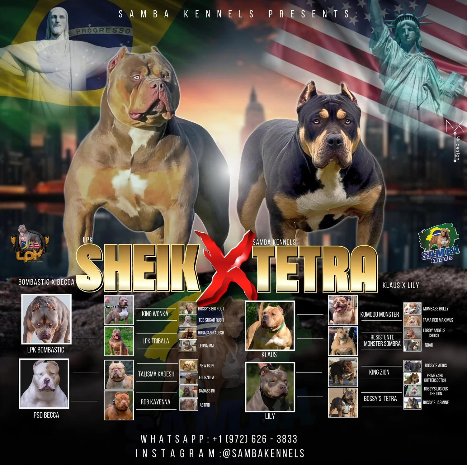 XXL Pitbulls Puppies — Sambakennels