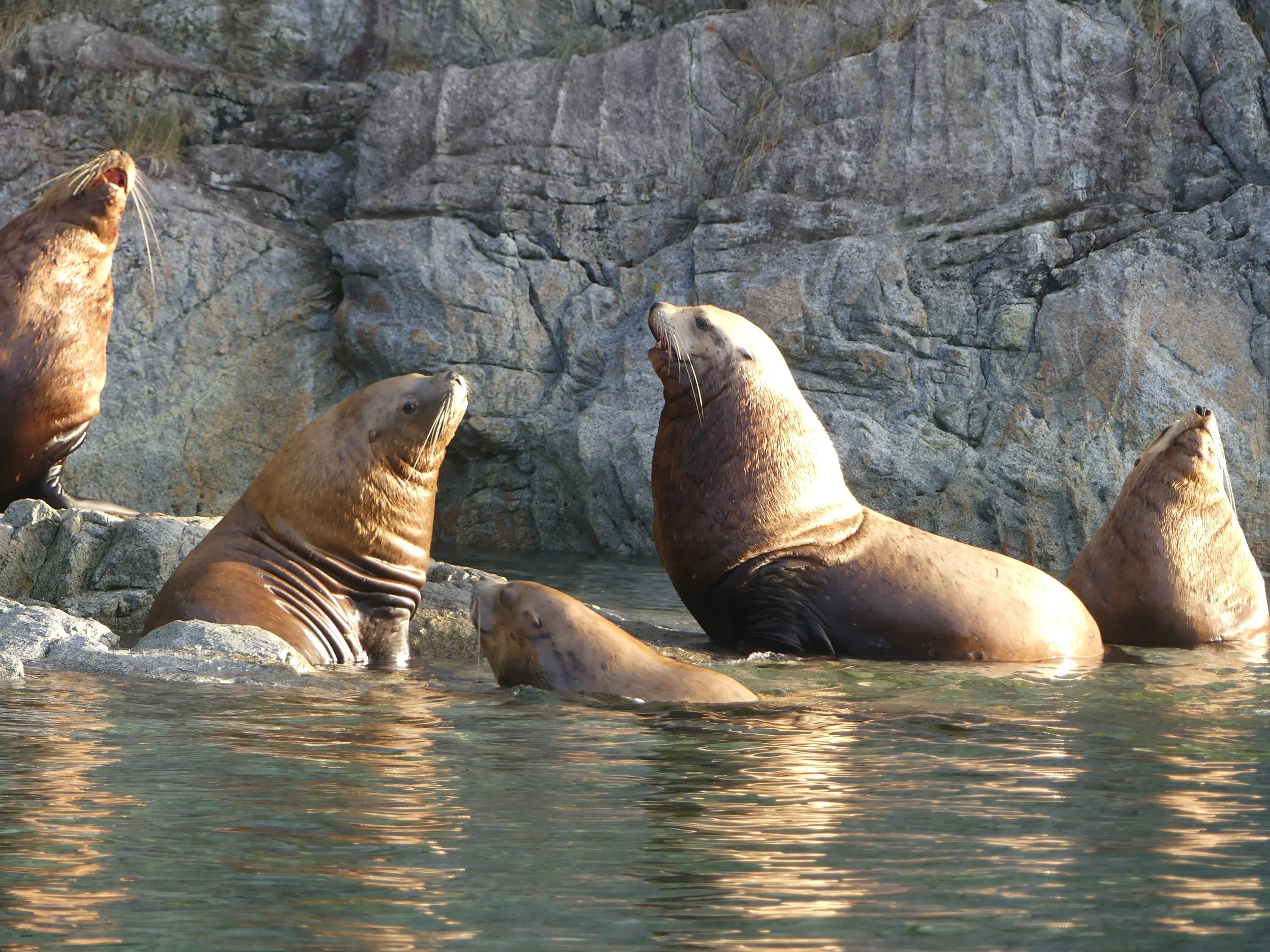 General 2 — Nanook Lodge