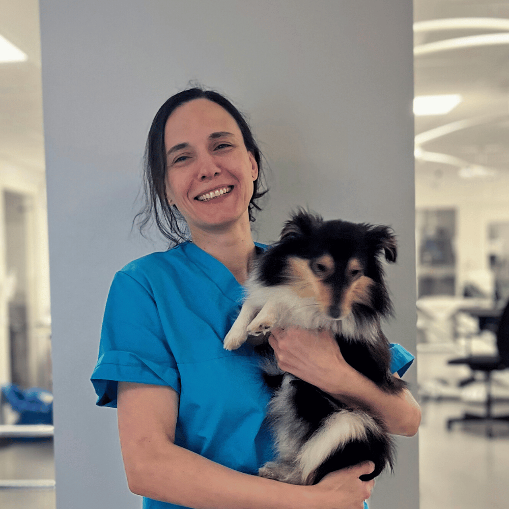 Teamet — AWAKE Djursjukhus