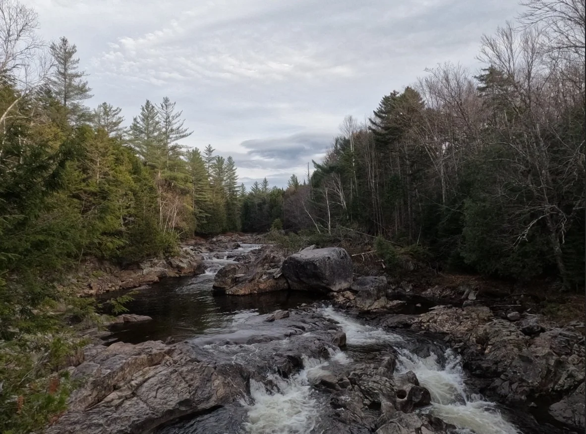 THE OULUSKA LOGS: WILDERNESS DIARIES SPEAK, DECADES OF DIVERSE ...