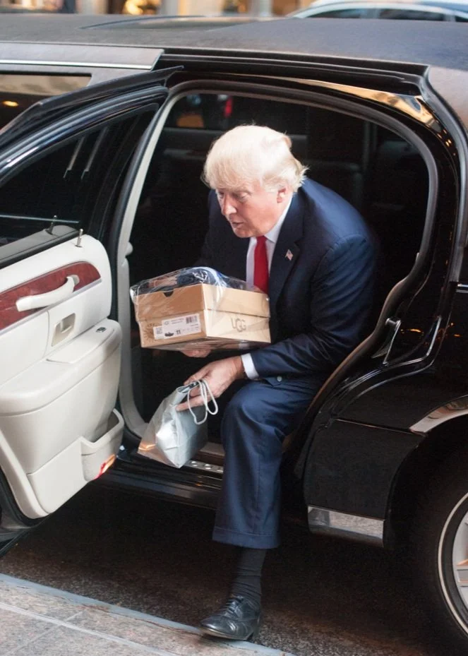 HOW TRUMP BEATS THE RAP AND GETS RE-ELECTED — THE FREE LANCE