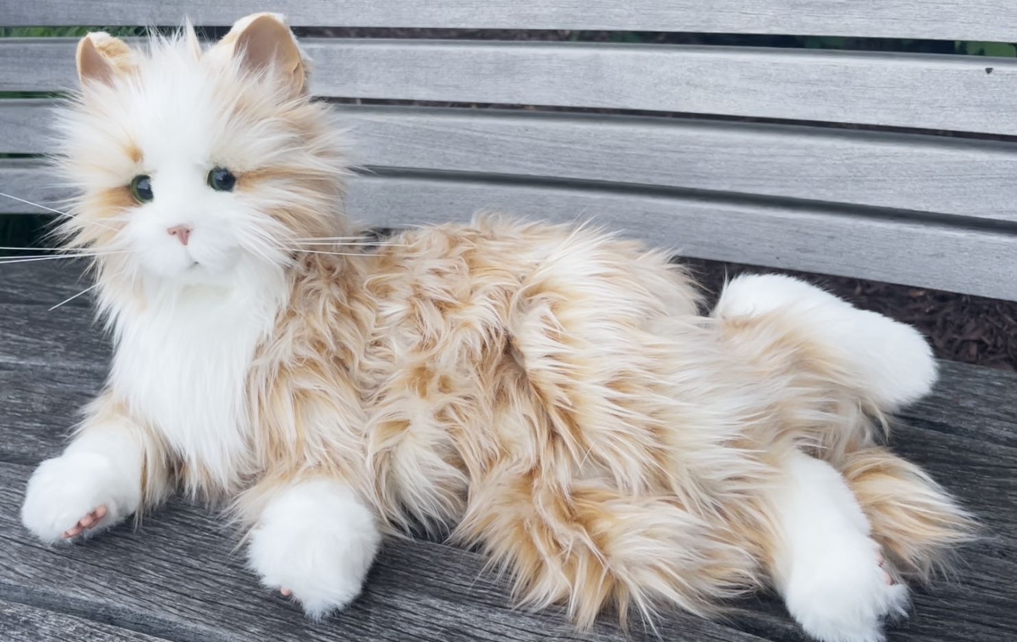 NEW YORK IS GIVING AWAY ROBOT CATS FOR FREE — THE FREE LANCE