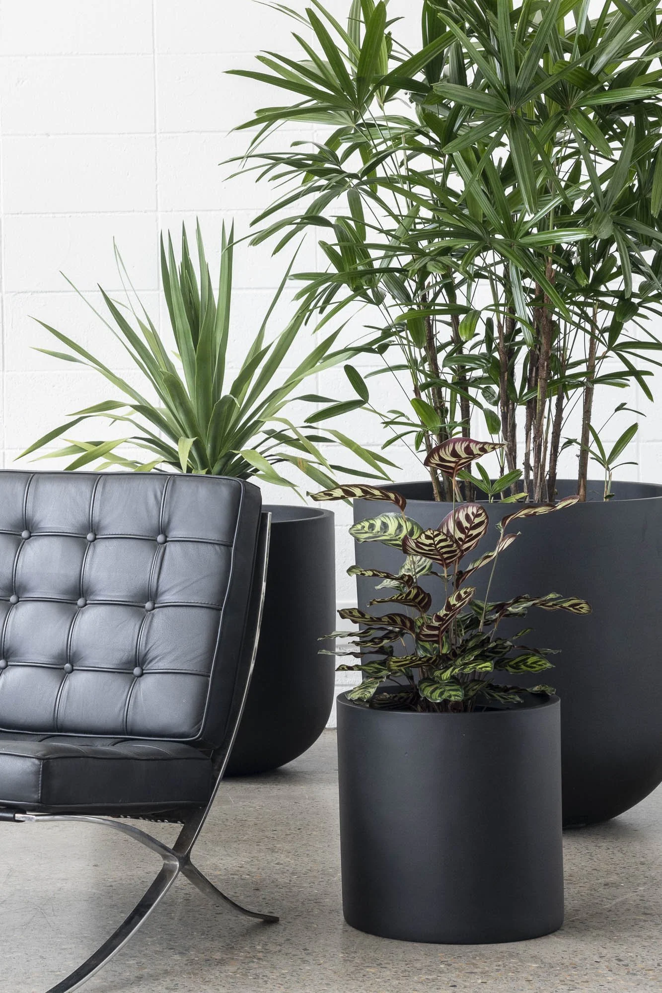 Indoor Pot Supply Co.