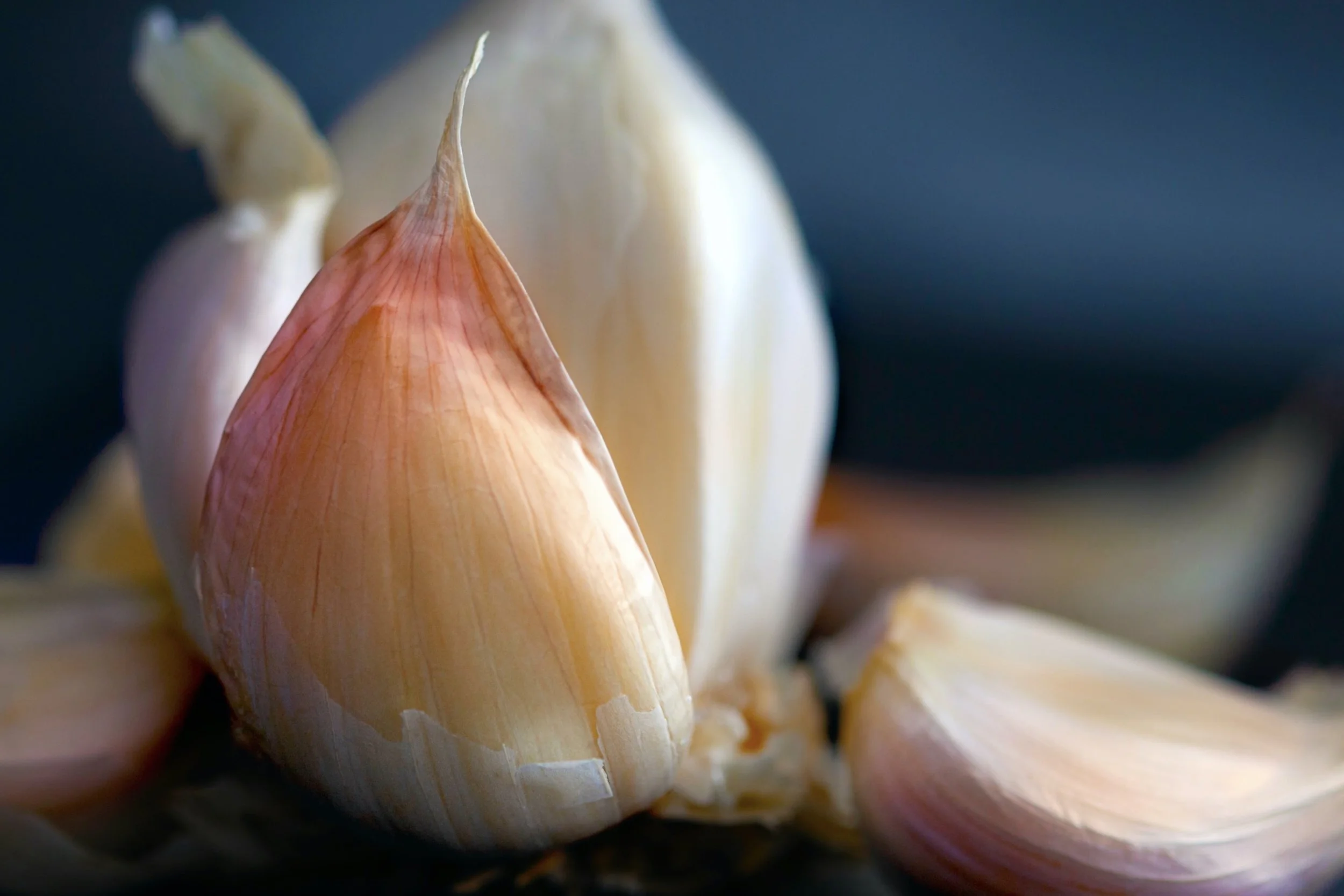 ALL ABOUT ALLIUMS — GET COOKING WITH BILL ST JOHN