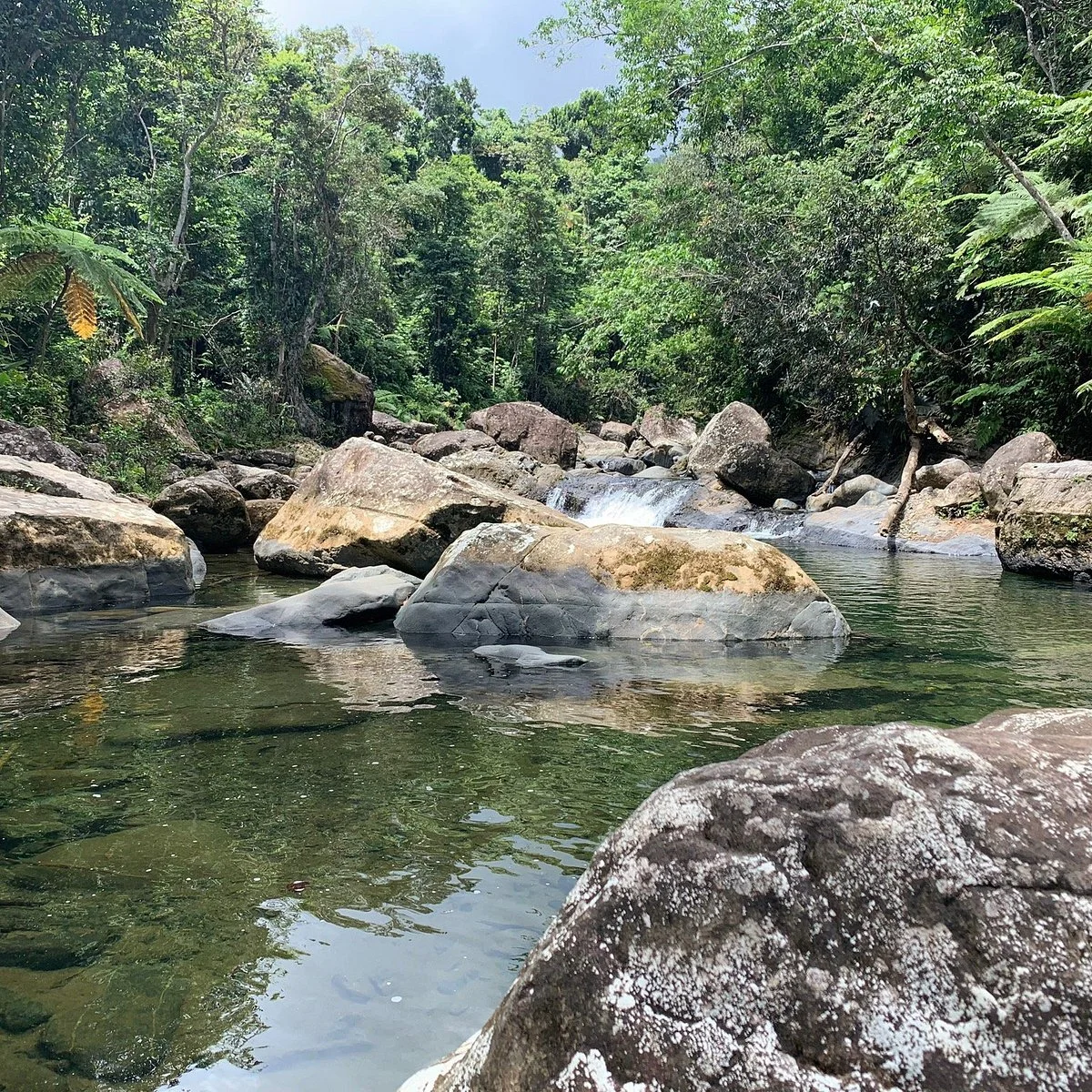 Atracciones Cercanas — Campamento Yuquibo
