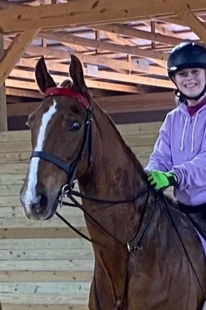 Meet the Lesson Horses — Four Oaks Farm and Stables
