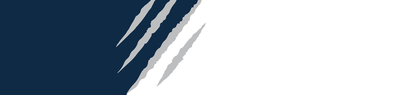 BSNC Best & Fairest — Blyth Snowtown Football & Netball Club