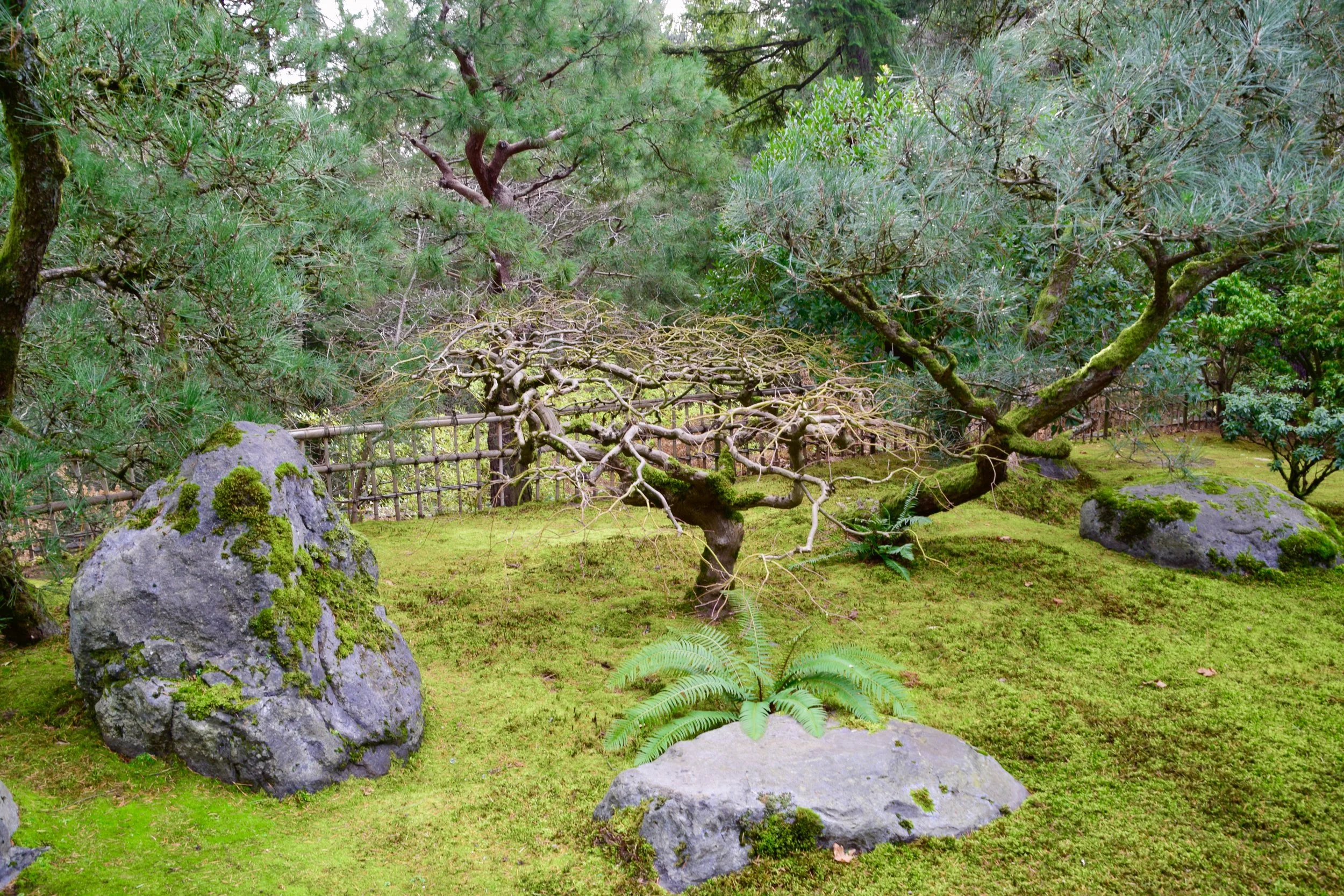 Portland Japanese Garden — LBGoodmanPhotography.com