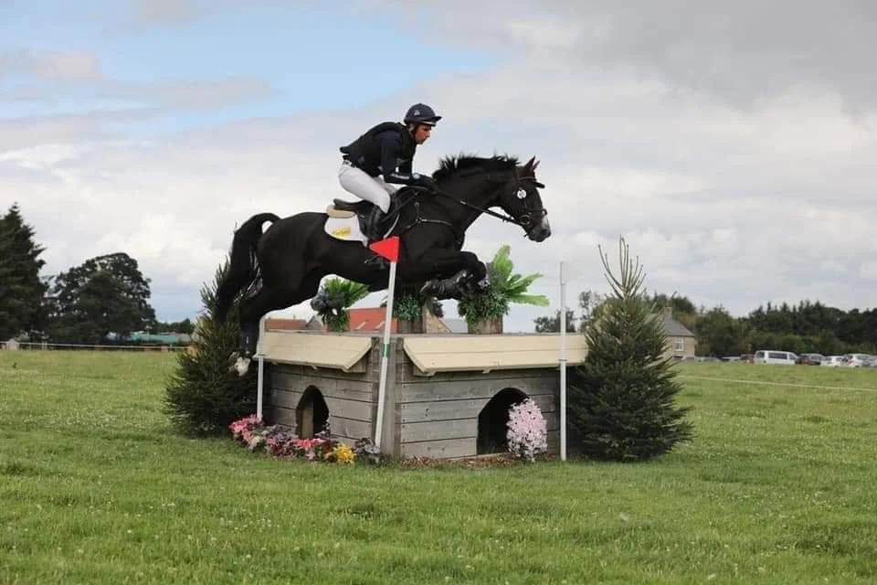 Stallions at Stud - St. Andrews, Scotland - Equine Reproduction ...