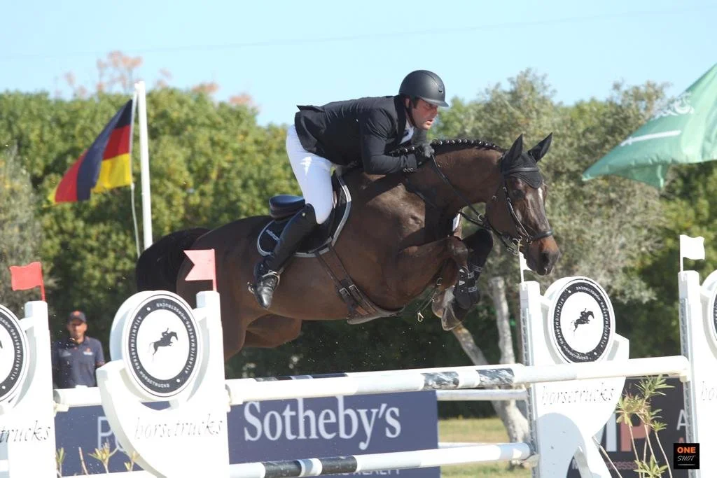 Stallion Services - St Andrews, Scotland - Stallions at Stud — Premier ...