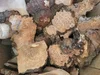 The Association of Scottish Hardwood Sawmillers
