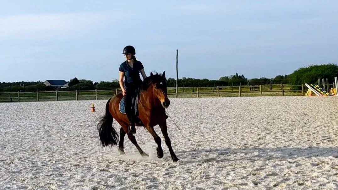 Lieux et tarifs — Florence Lefèvre