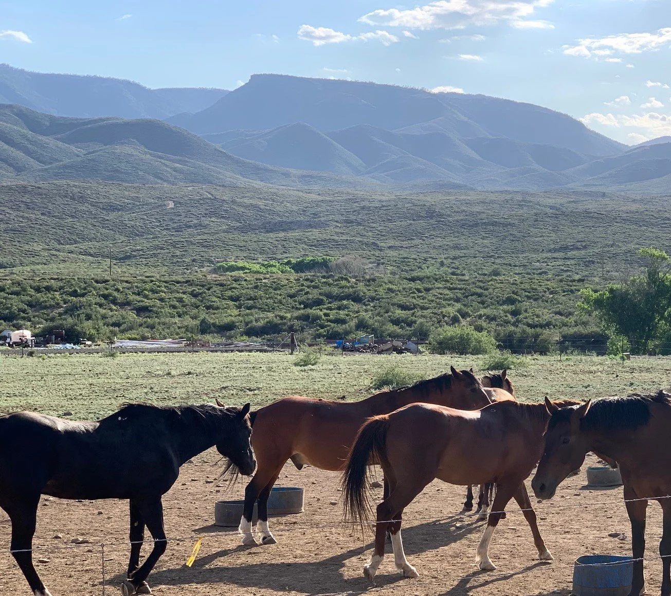 Foothills Ranch - Mayer, AZ
