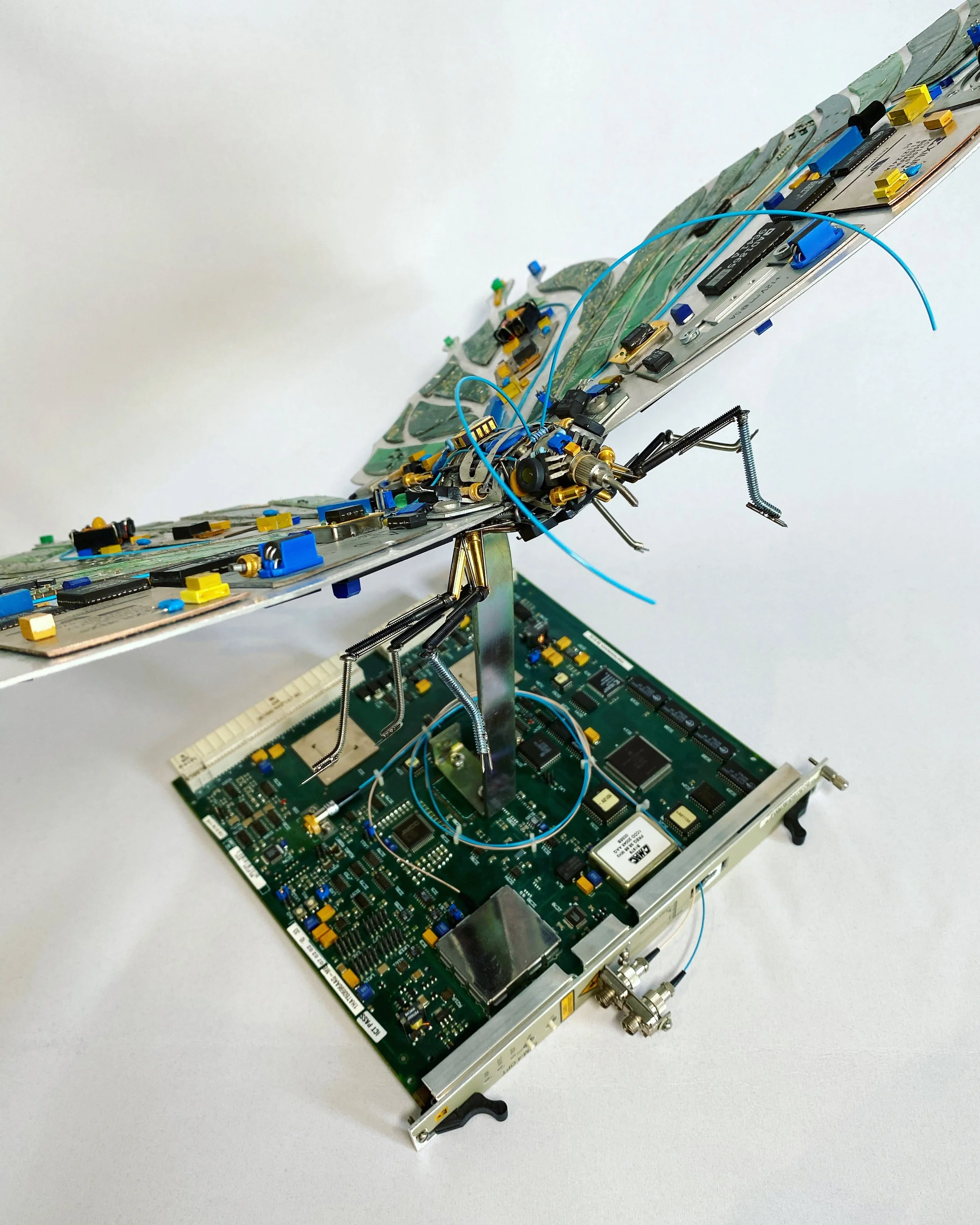 Nova Gallery — Zak Miskry Creations