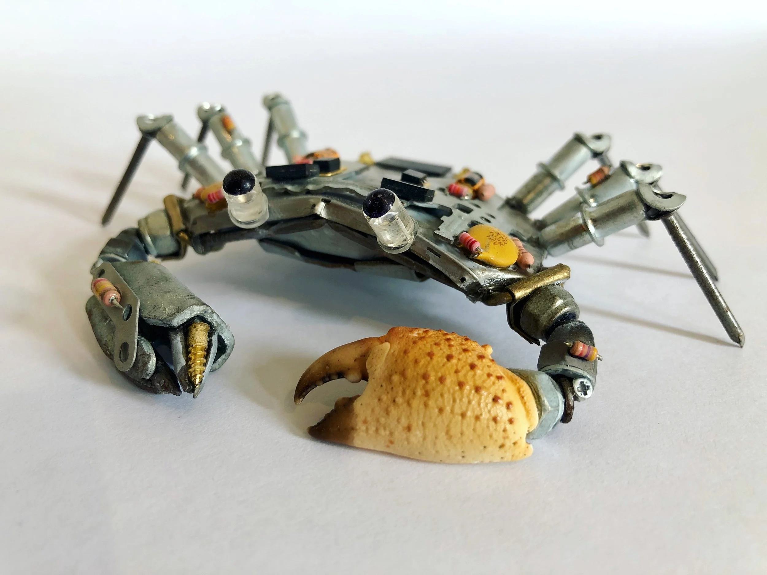 Crabs — Zak Miskry Creations