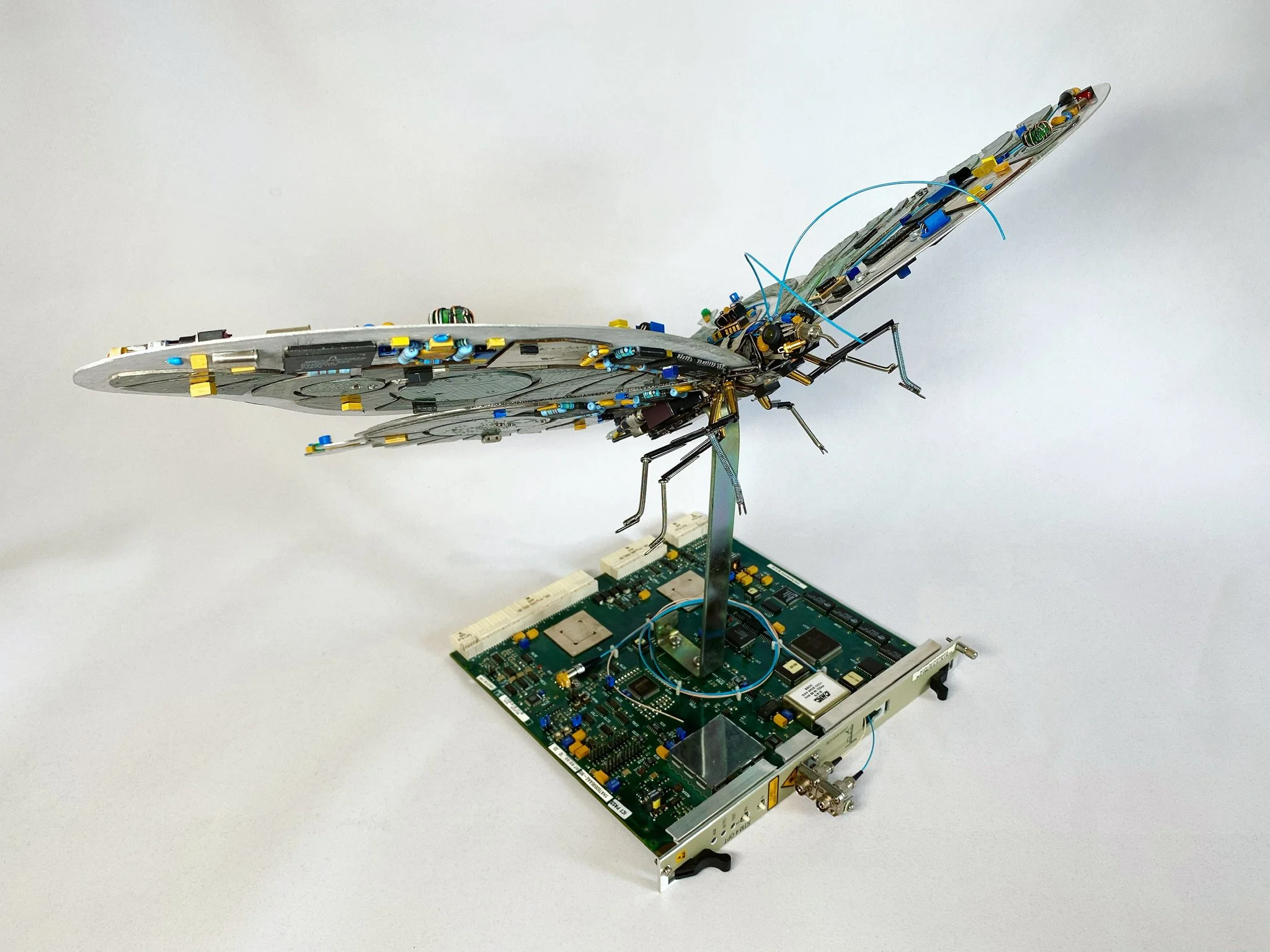 Nova Gallery — Zak Miskry Creations