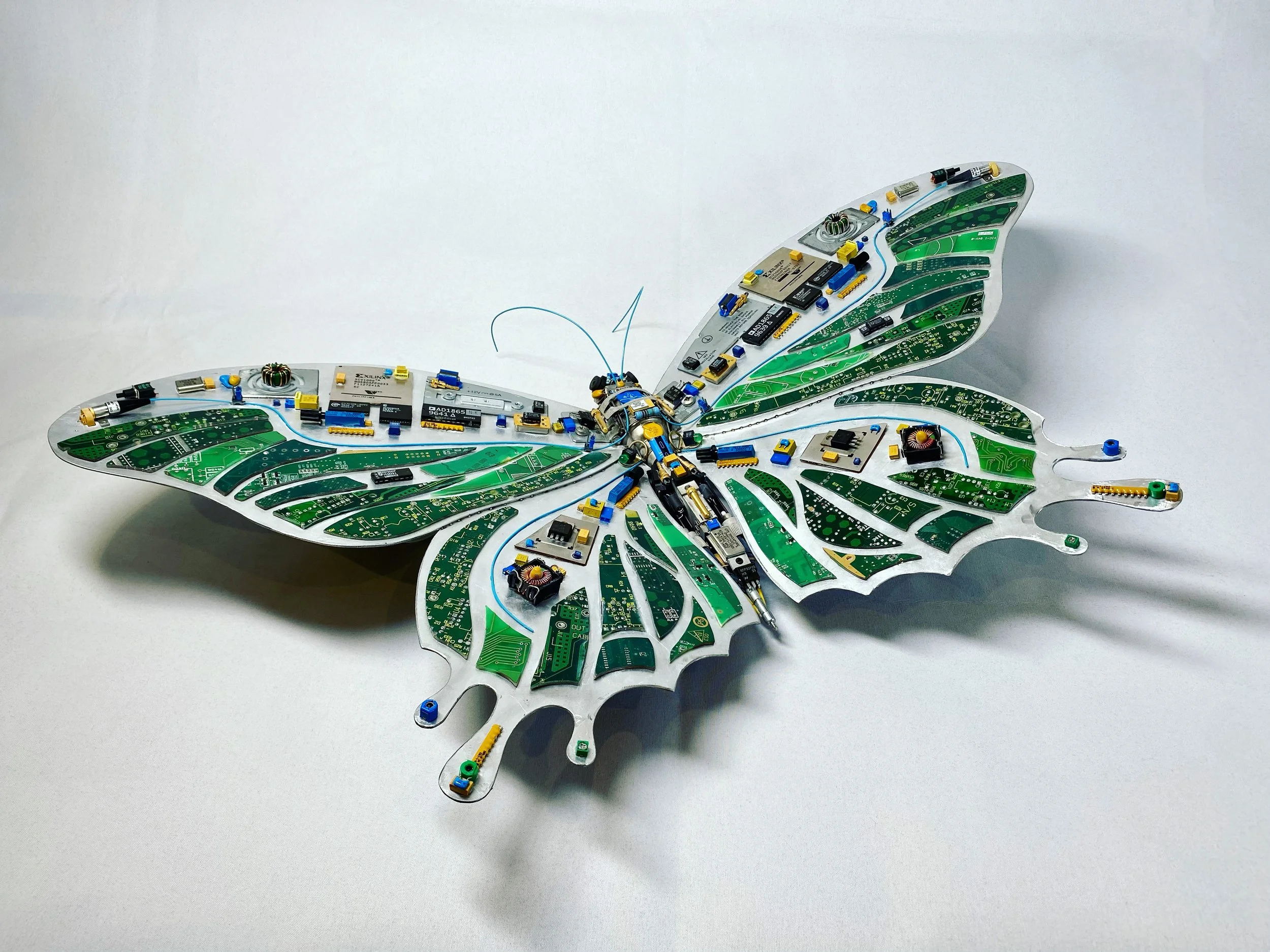 Nova Gallery — Zak Miskry Creations