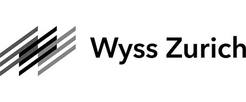 STUDIO BLYSS — Designagentur in Zürich