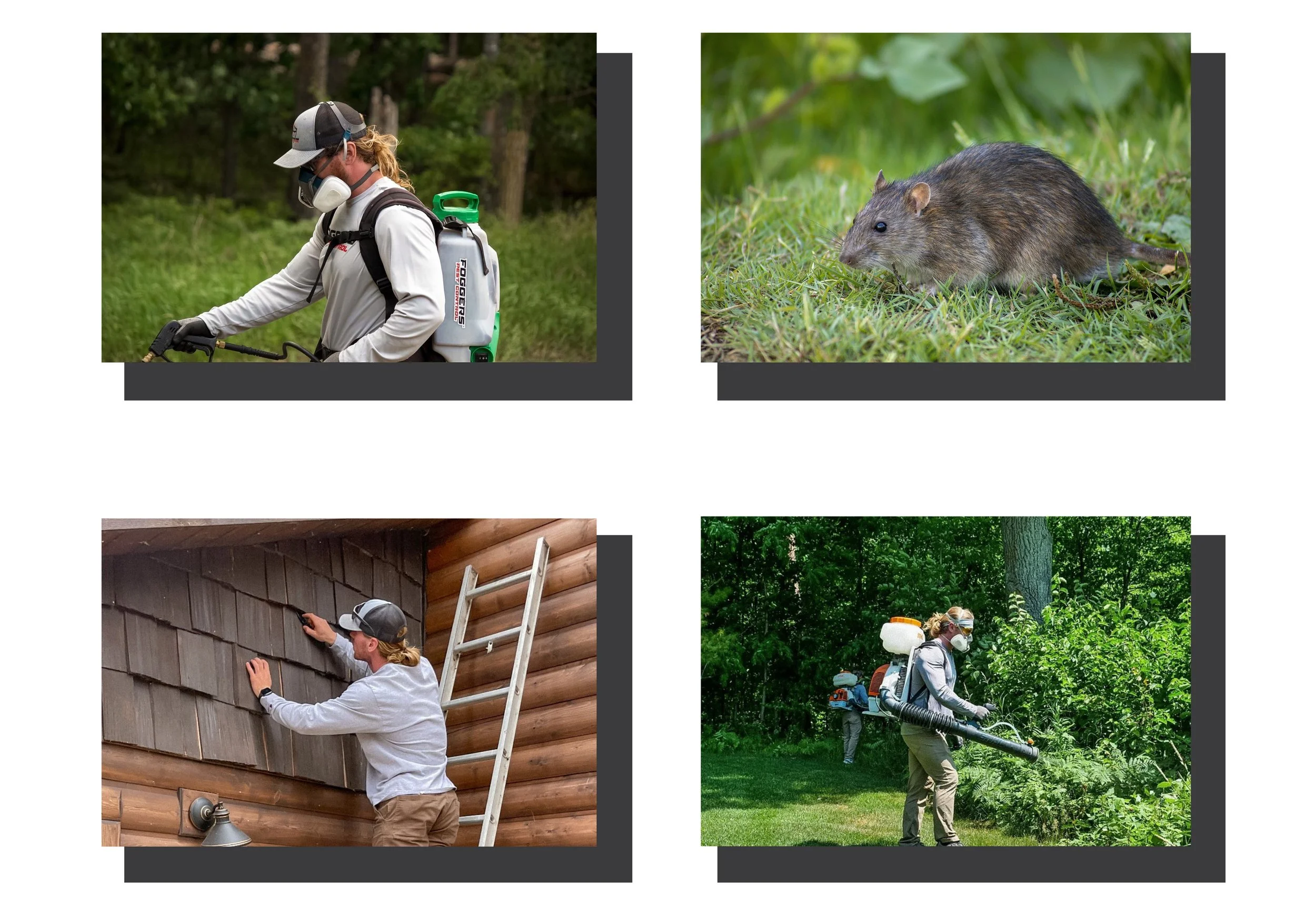 Foggers Pest Control - Your Local Pest Control Company
