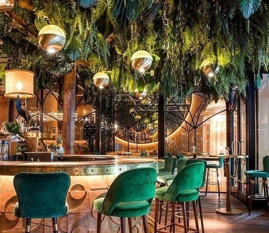 Amazonico Restaurant — Find a Restaurant