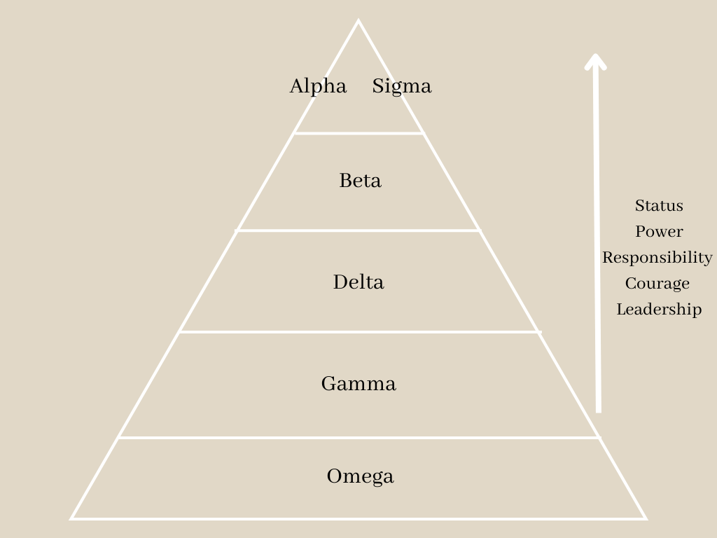 “Real Man” — Myself & Co.