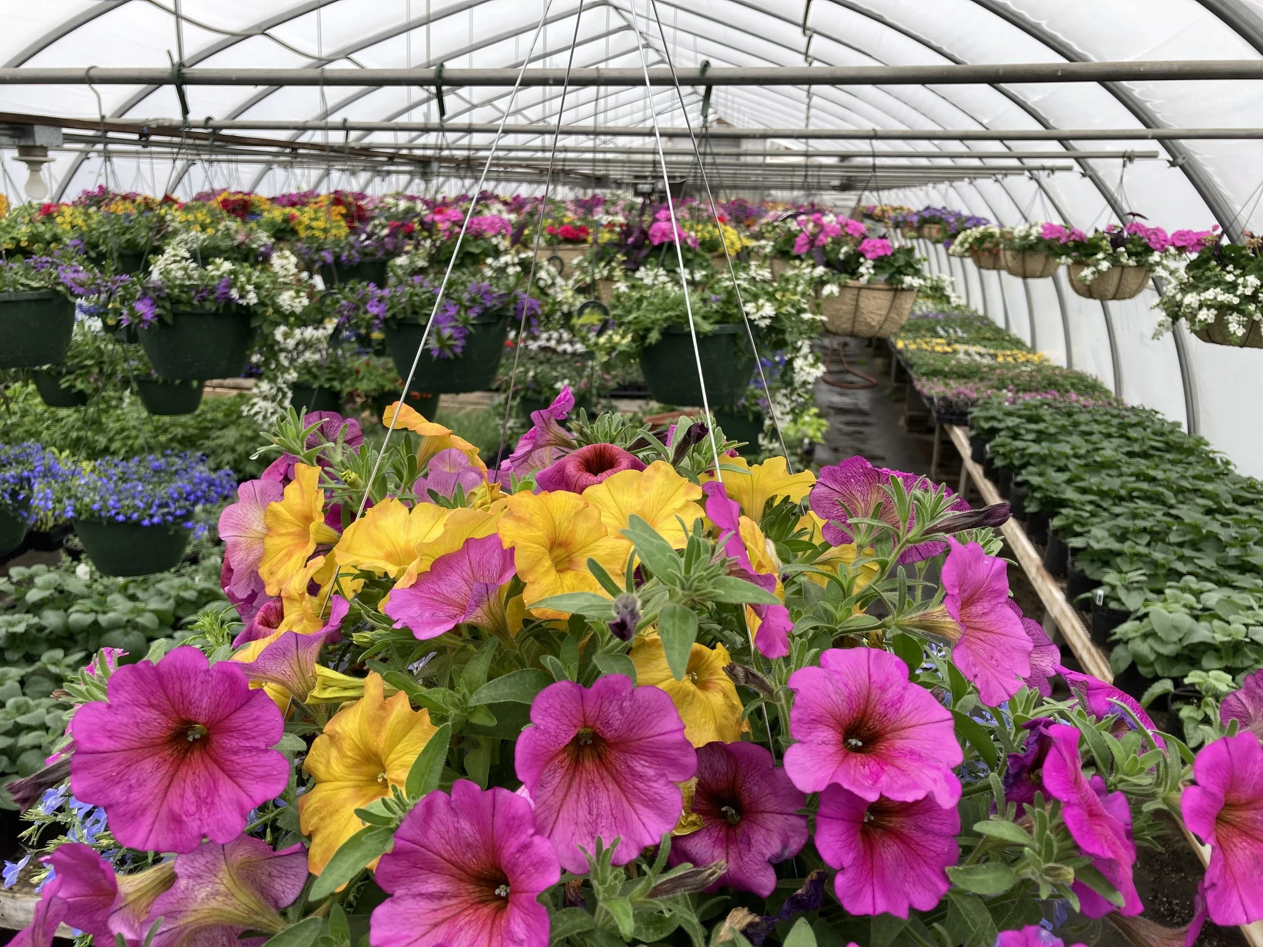 Hours and Events — Sherburne Farm