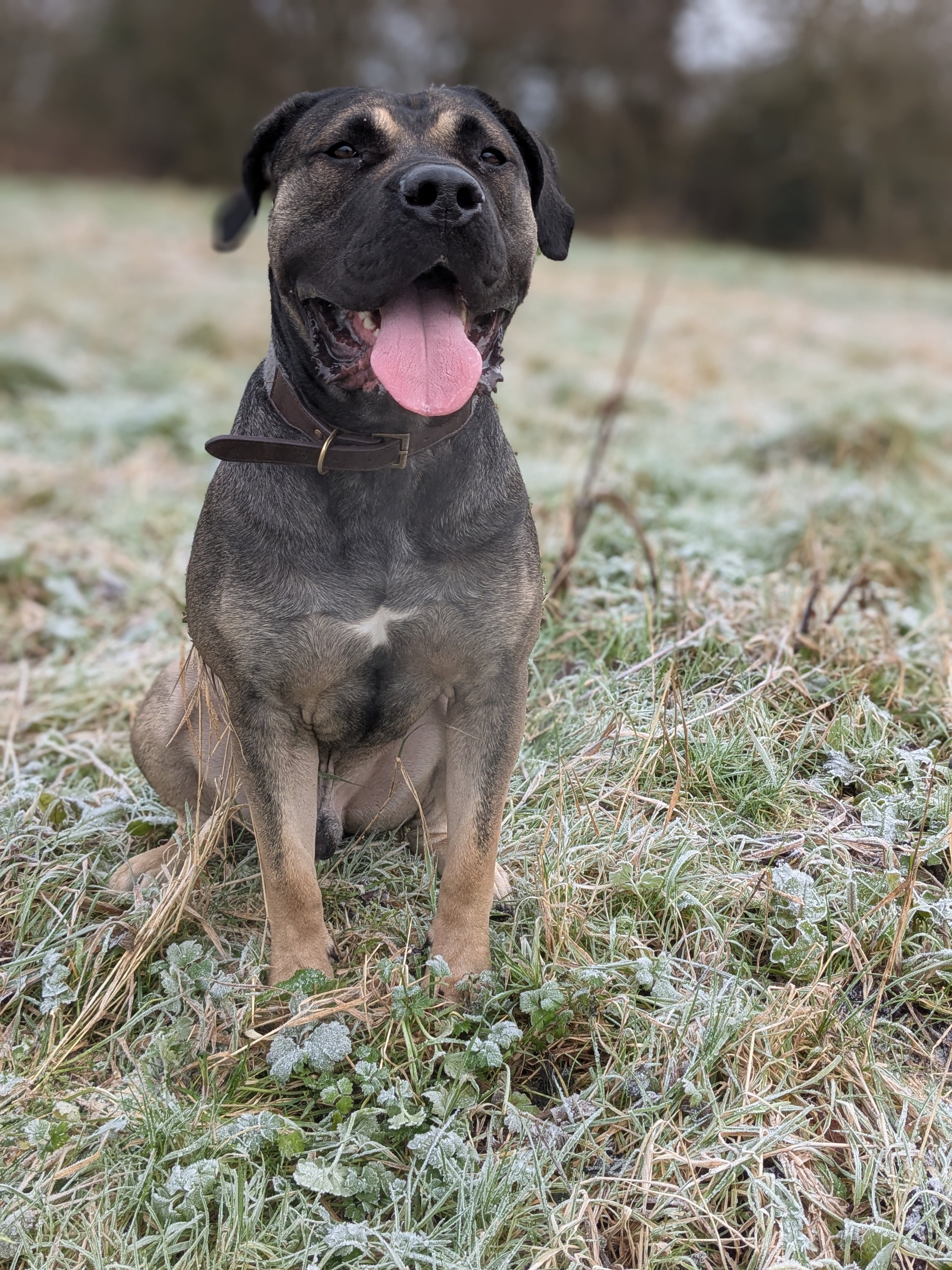 Crumpet — Wythall Animal Sanctuary
