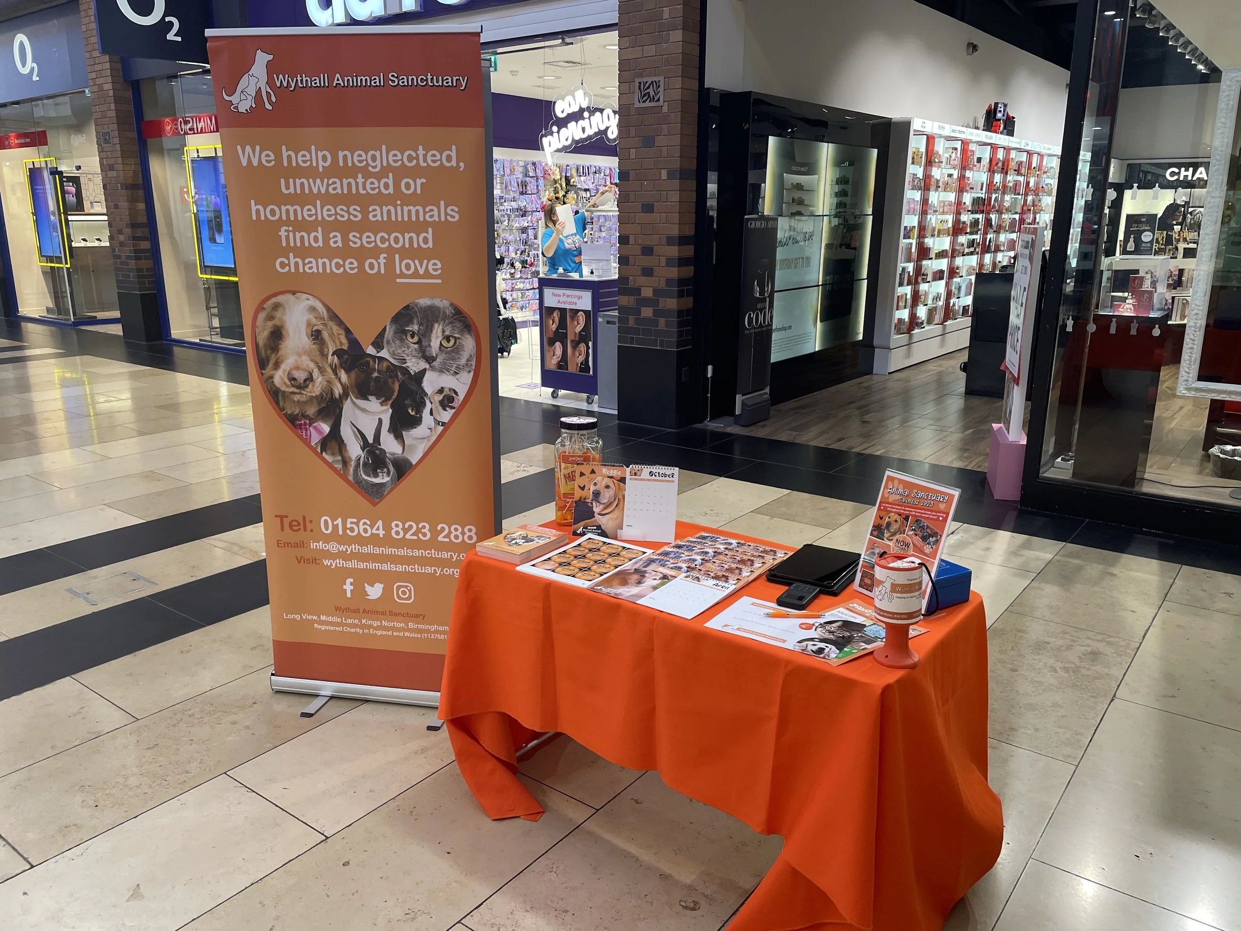 Wythall Animal Sanctuary | Animal Rescue | Birmingham