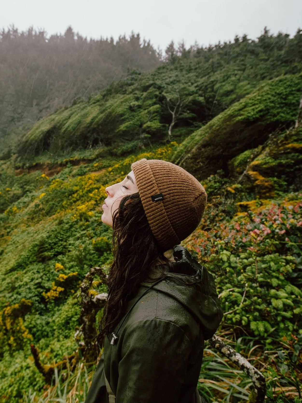 Intensive Day Treatment (PHP) — Insight Northwest Recovery