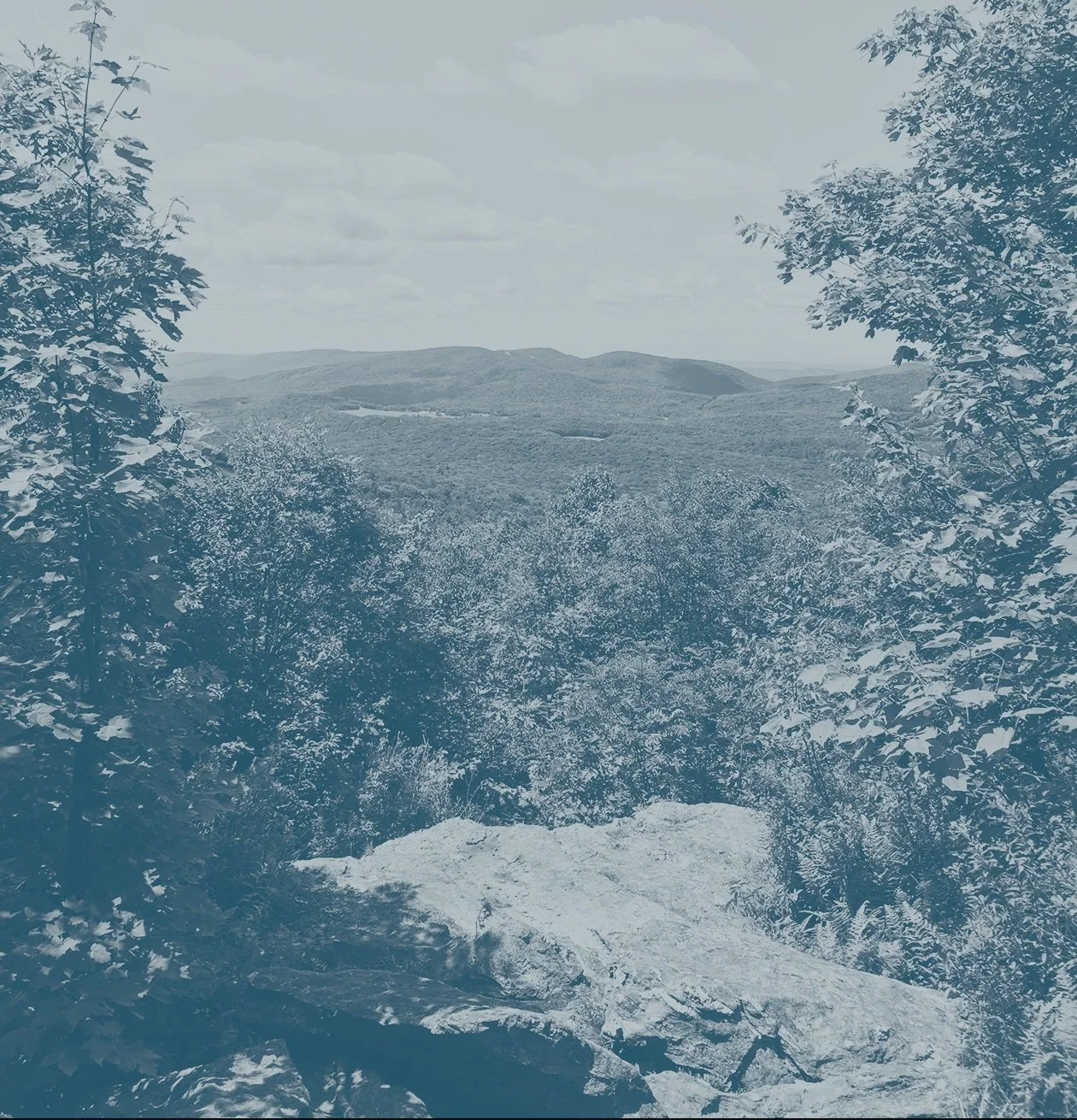 Media Future Centered